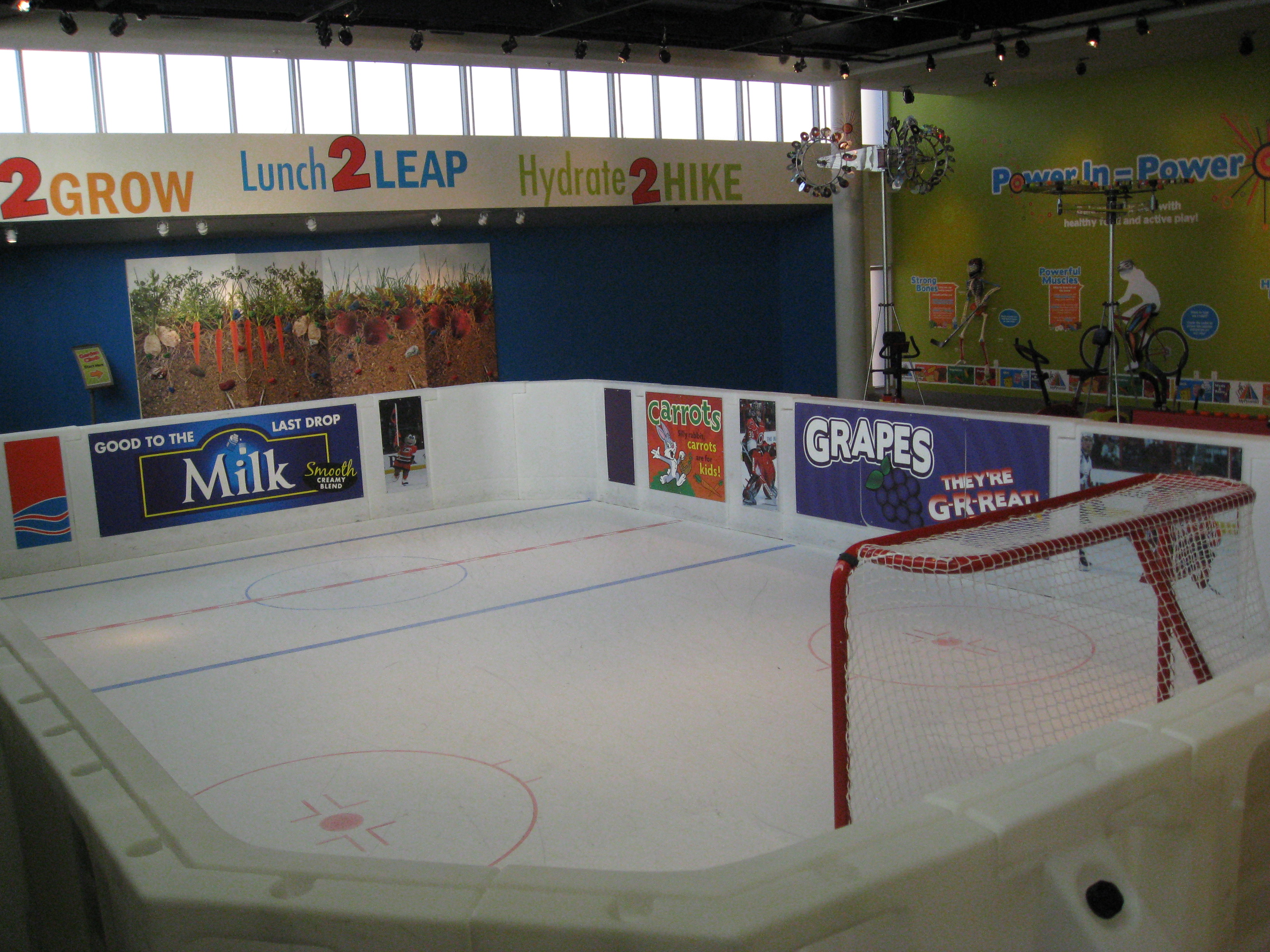 Iceless Ice Skating (20' X 40') - Party Perfect Rentals